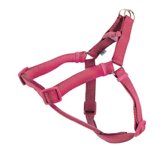 Padded Nylon Harness for Dogs – Dogs & Co